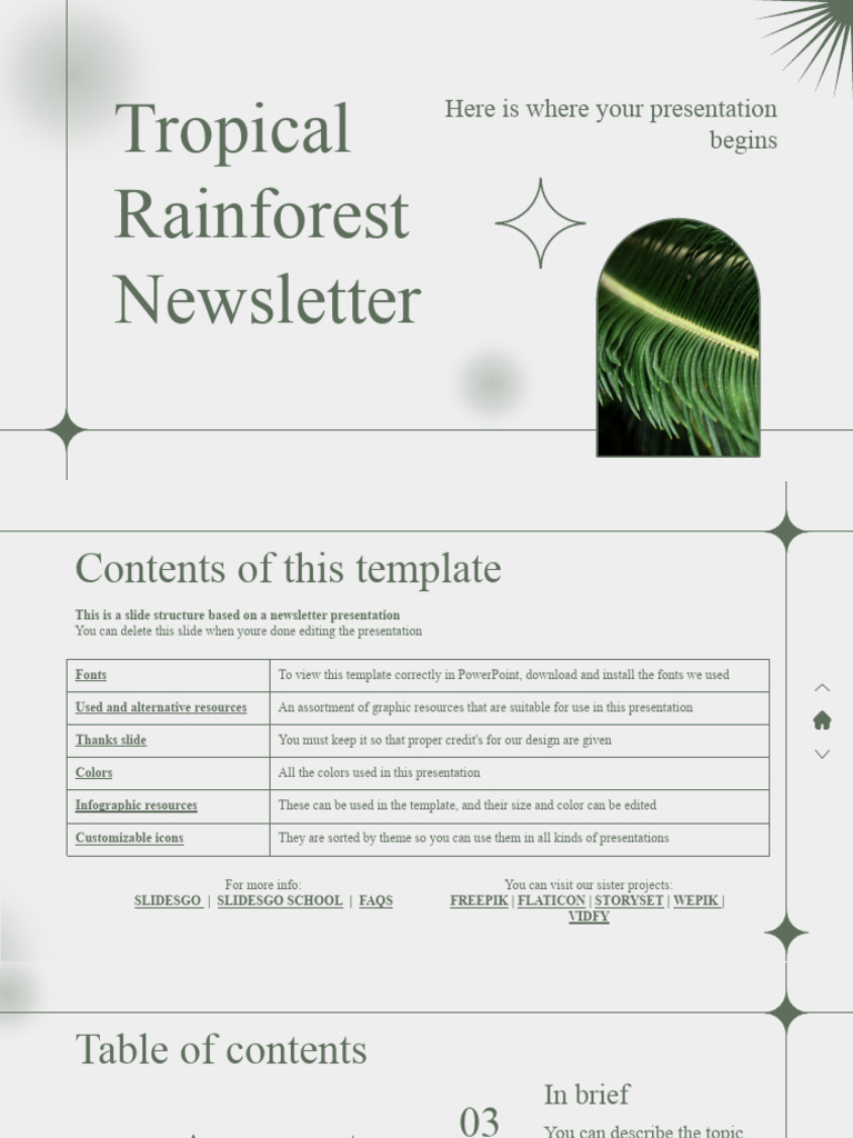 Tropical Rainforest Newsletter XL by Slidesgo | PDF | Planets | Solar ...