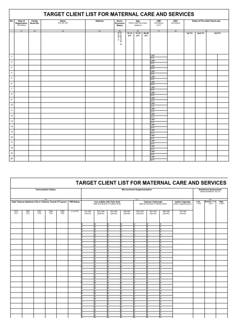 Maternal Care Client Tracking List | PDF | Determinants Of Health ...