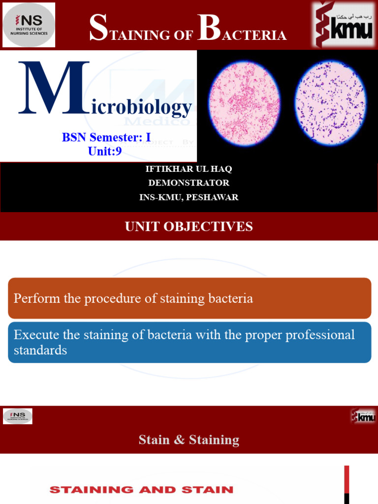 Bacterial Staining Techniques Guide | PDF