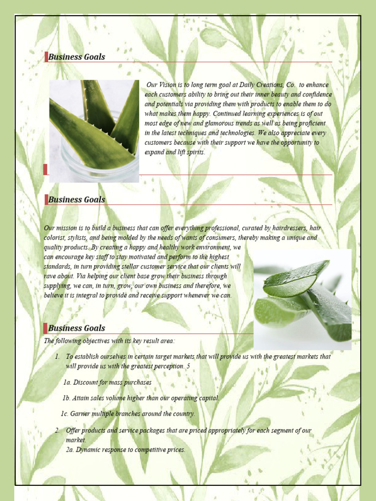 Business Goals | PDF