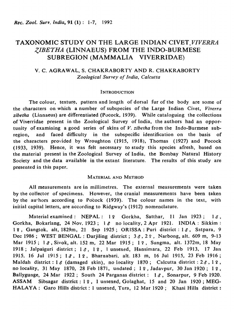 Viverra Zibetha | PDF