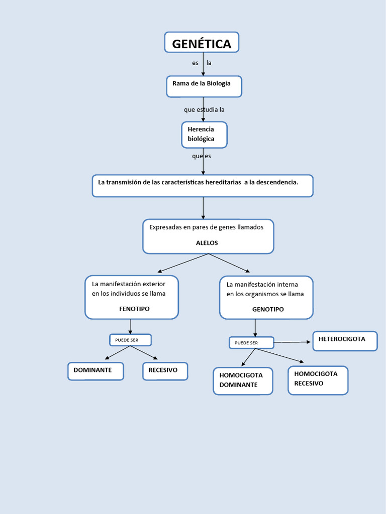 Mapa Conceptual de La Genetica | PDF
