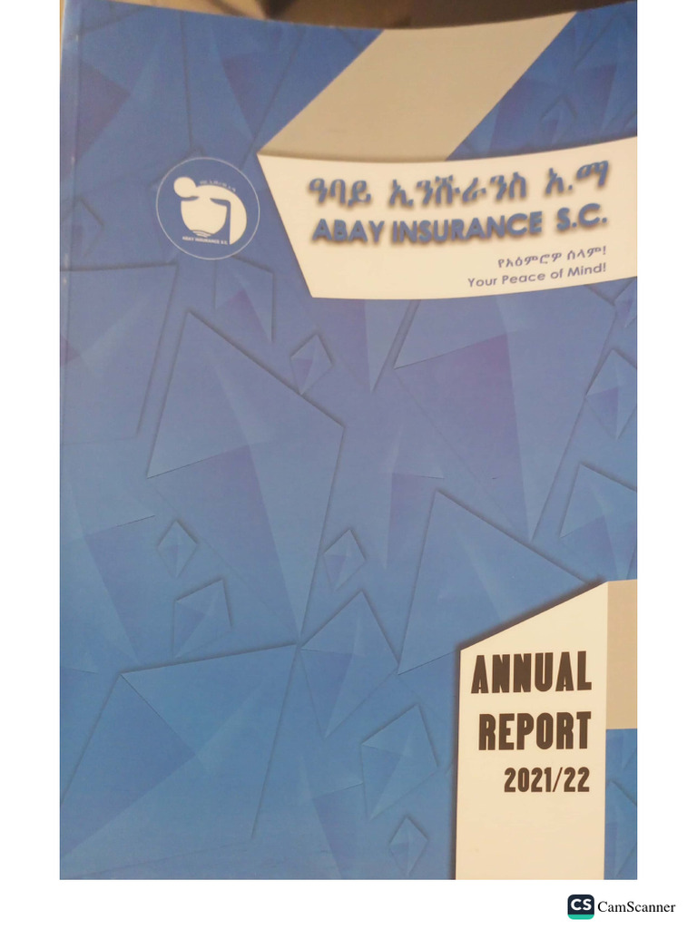 Abay Insurance 202122 | PDF