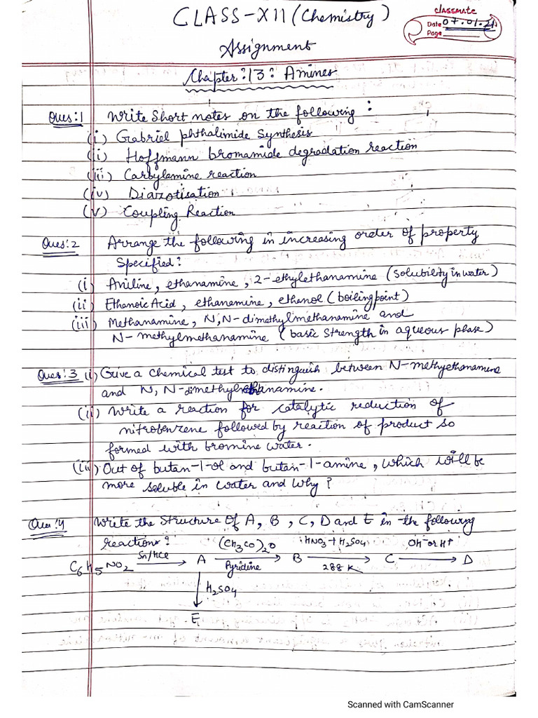 Ch 13 Assignment Pdf