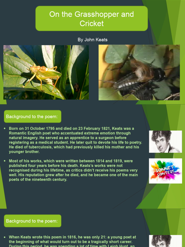 The Grasshopper and The Cricket Final | PDF