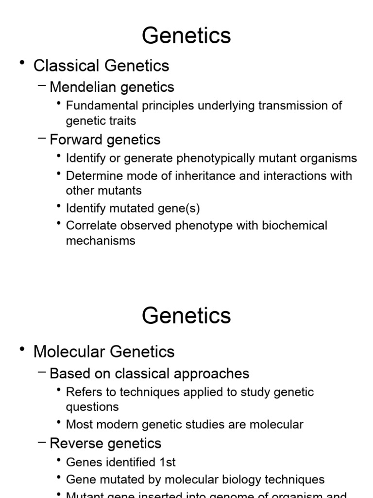 Unit 1 | PDF | Dominance (Genetics) | Allele