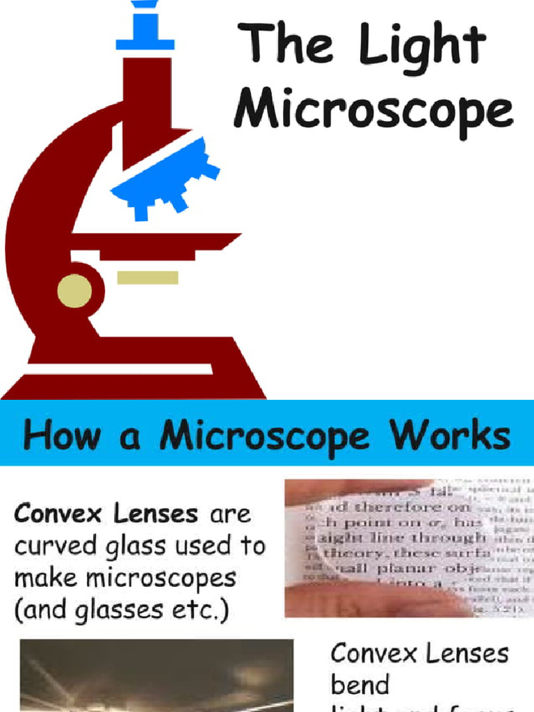 Parts of The Microscope and Their Functions | PDF