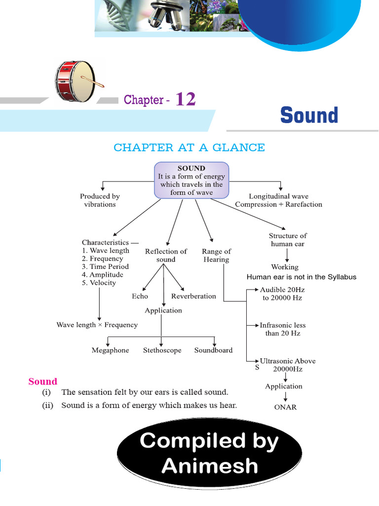 Class 9 Science Study Material Chapter 12 | PDF | Sound | Frequency