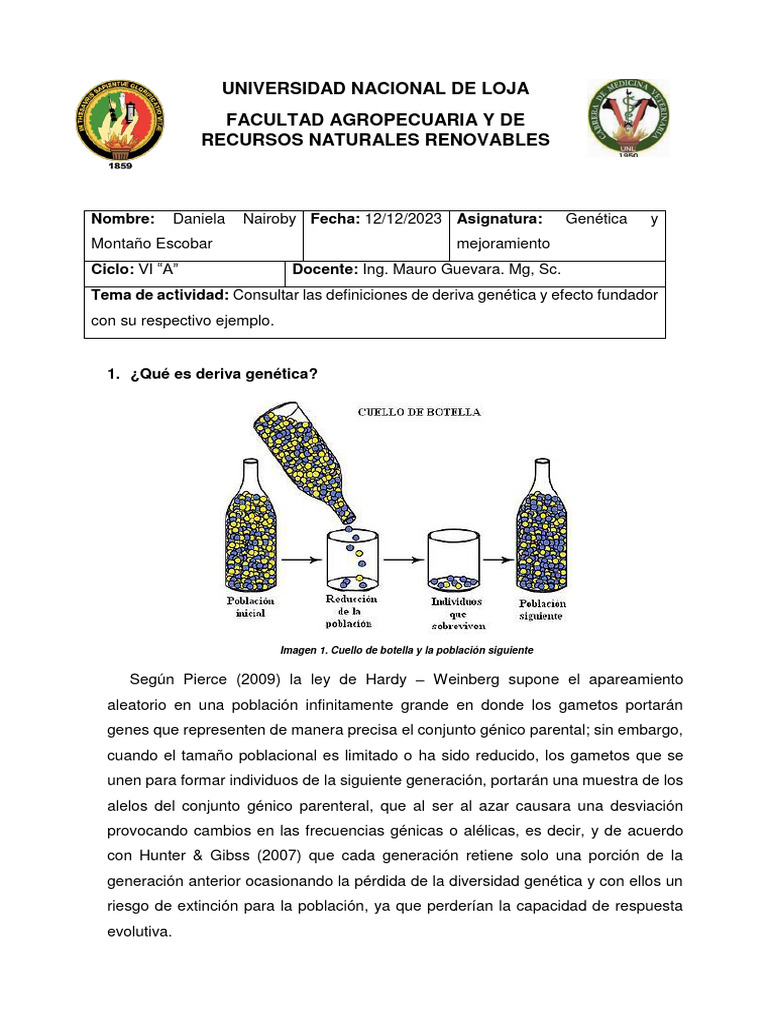 Deriva genética y efecto fundador. | PDF | Genética | Evolución biológica