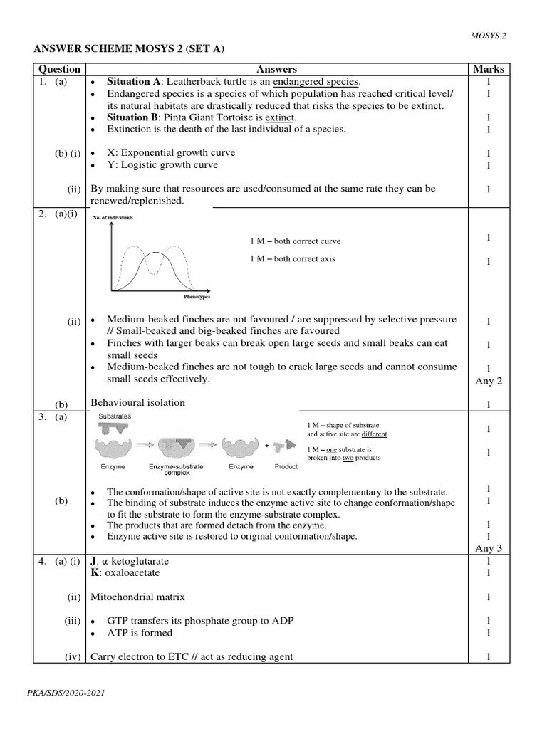 Set A Suggested Answer Mosys SB025 - 230430 - 191516 | PDF | Adenosine ...