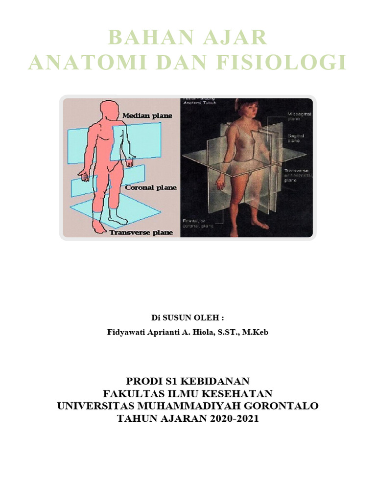 Sendi Pelana dalam Anatomi Manusia | PDF
