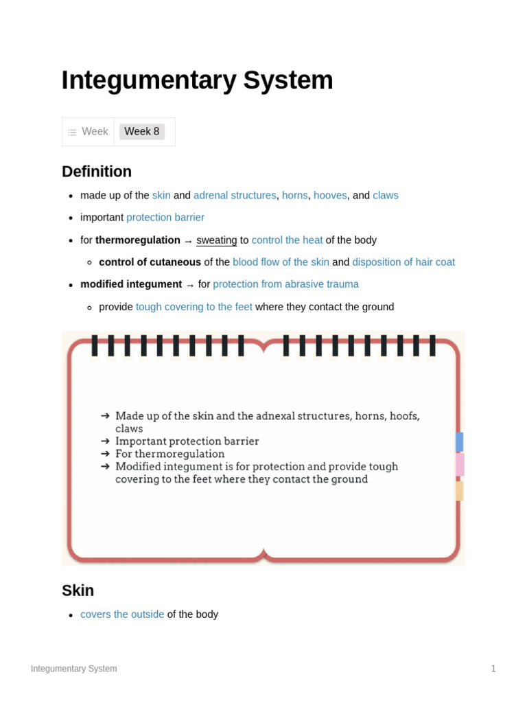 Integumentary-System-8b1debf46f32433d98e0ac6e30be80d7 | PDF