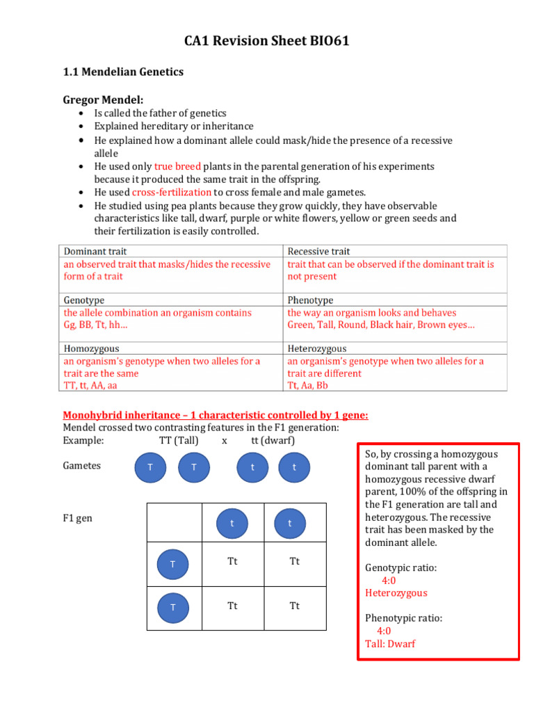 EoT Exam Revision Guide | PDF | Operon | Repressor