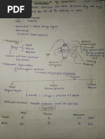 Cockroach Ncert | PDF