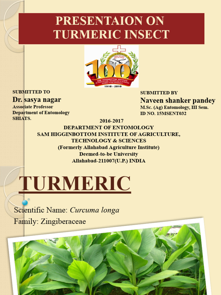Turmeric Pest Identification and Control | PDF | Pupa | Turmeric