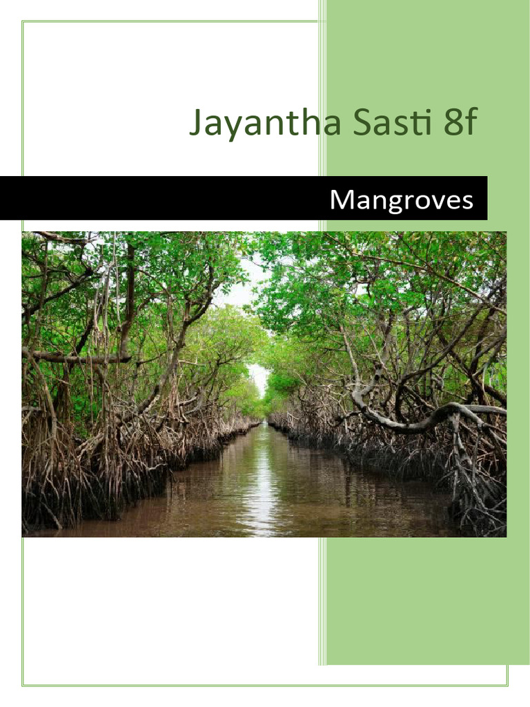 Plant Adaptations | PDF | Mangrove | Plants