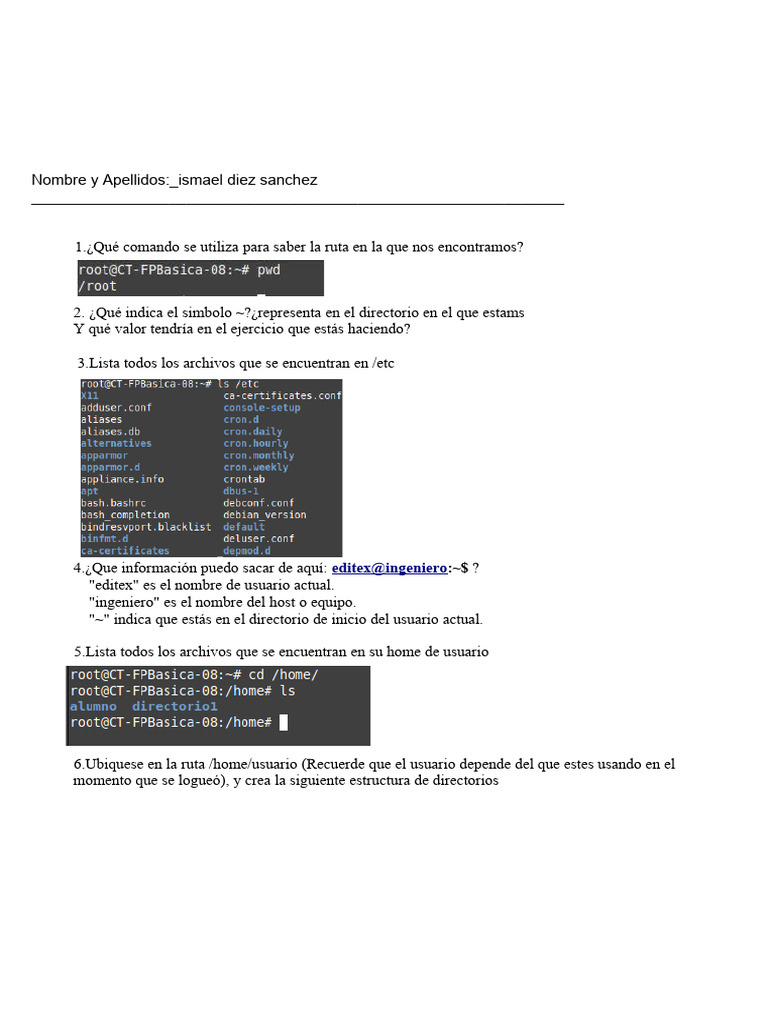 Examen Práctico Linux - Tema 3-3 | PDF