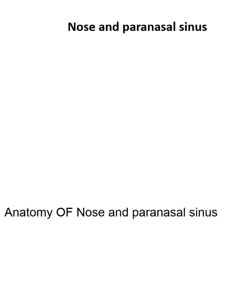 Nose Pdf Human Nose Medical Specialties