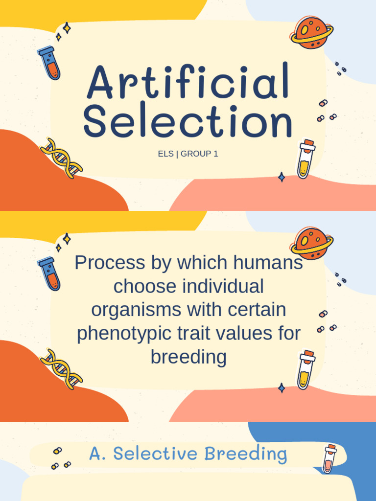 Artificial Selection - PPTX - 20240110 - 213342 - 0000 | PDF ... Artificial Selection - PPTX - 20240110 - 213342 - 0000 | PDF ...