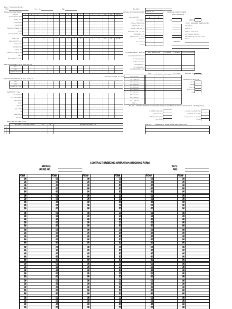 Flockman's Report (Print) | PDF | Birds
