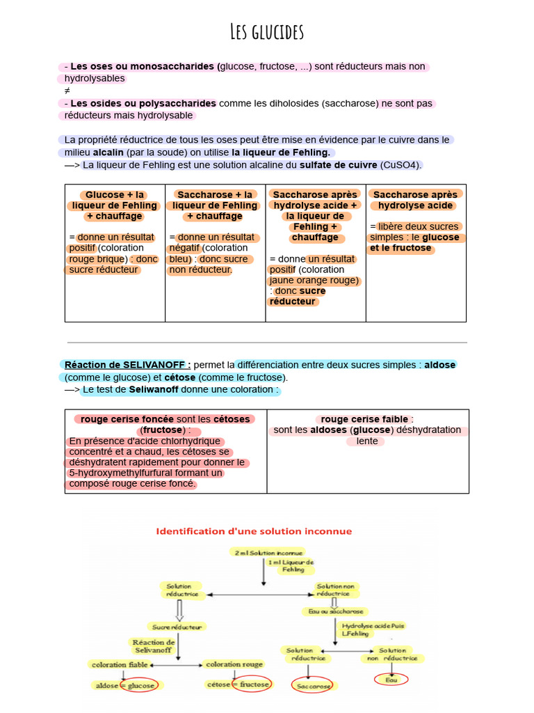 TP Biochimie Exam | PDF | Glucide | Acide aminé