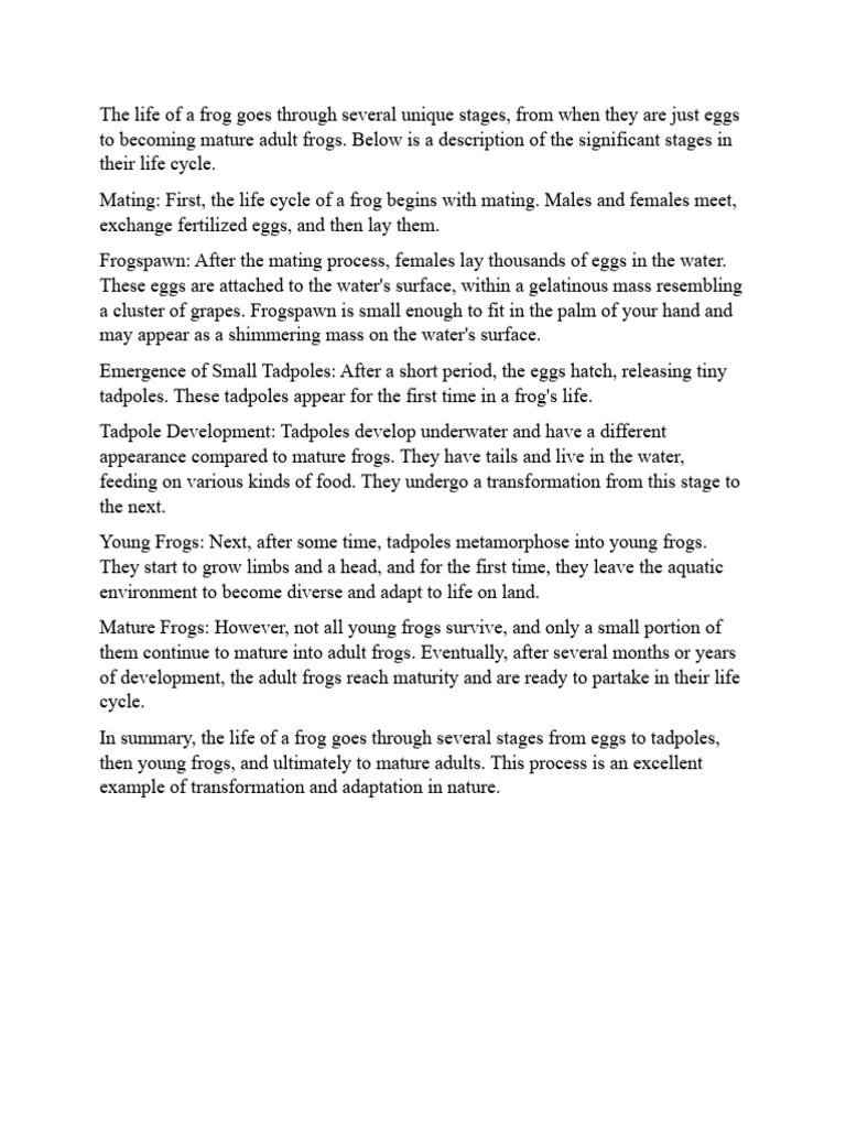 Writing Bu I 2 Ver 2 | PDF