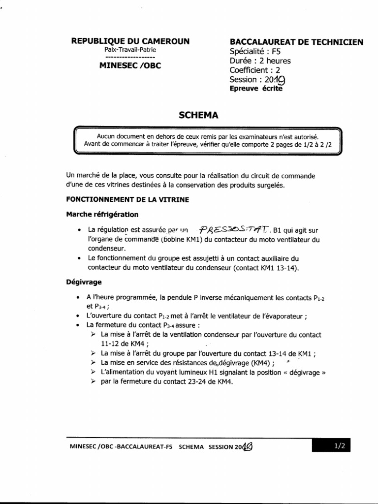 Ok Schéma BAC 2019 | PDF