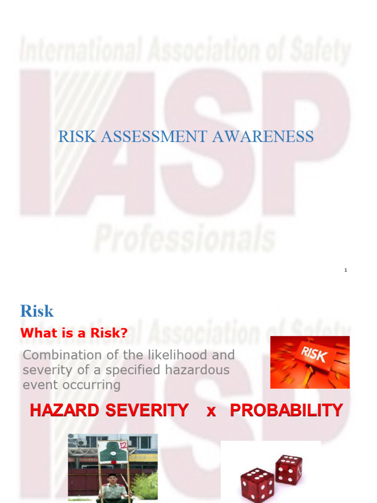 Risk and Safety Management Guide | PDF