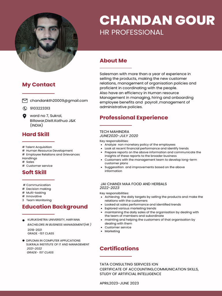 Chandan cv-1 | PDF | Sales | Human Resources