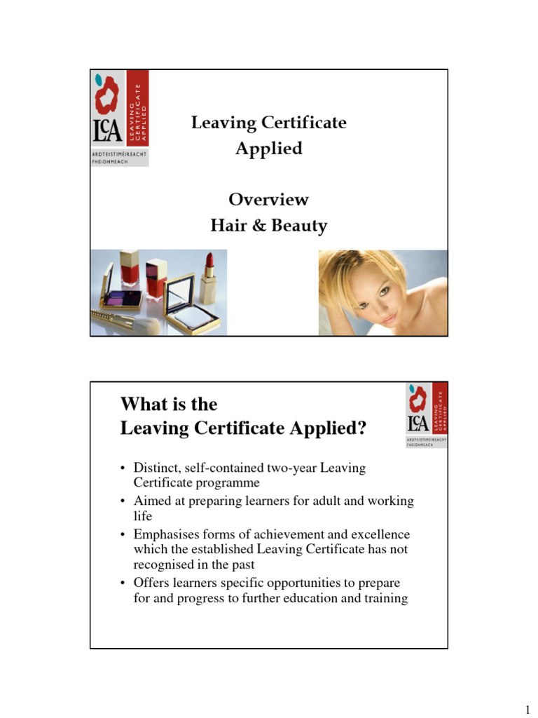 Hair and Beauty Overview | PDF | Vocational Education | Learning