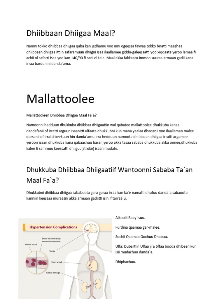 Dhiibbaan Dhiig | PDF