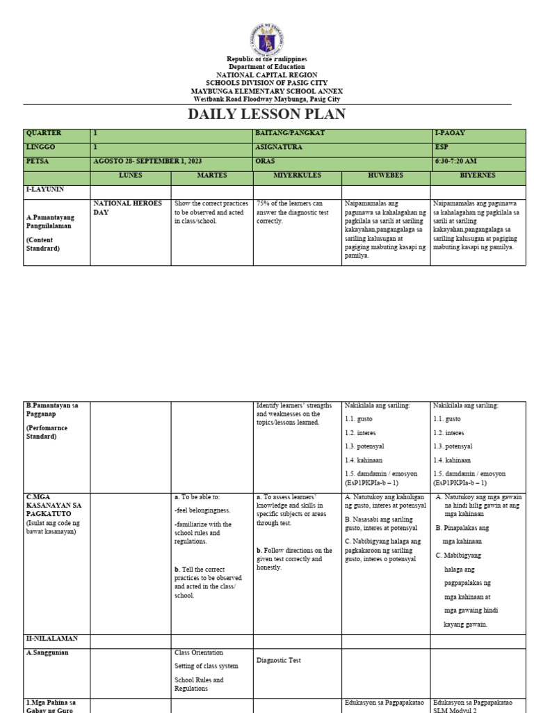 Daily Lesson Plan | PDF