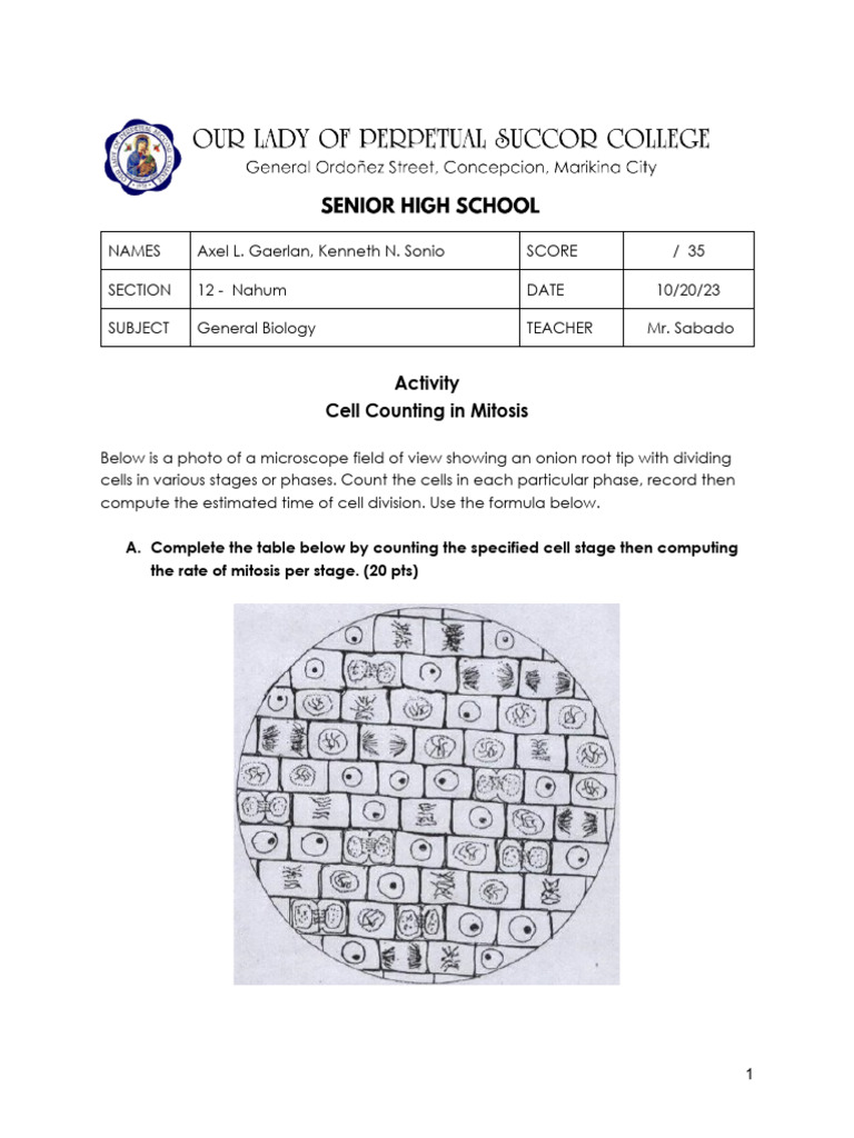 Activity Cell Counting | PDF