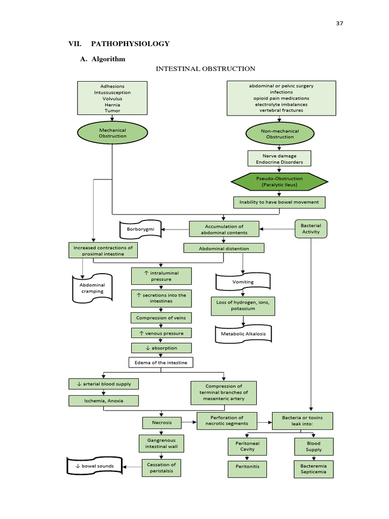 Chapter-7-Pathophysiology Nephrotic Syndrome | PDF | Physiology ...