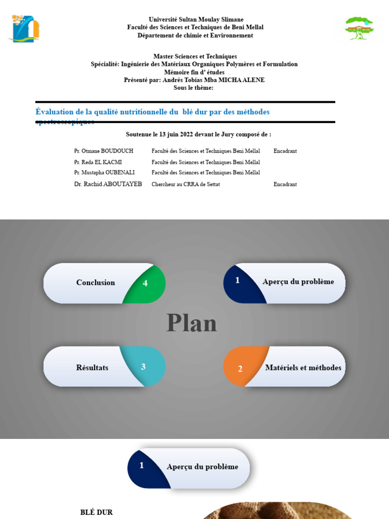 Pfe Master Mba | PDF | Sciences physiques | Nutrition