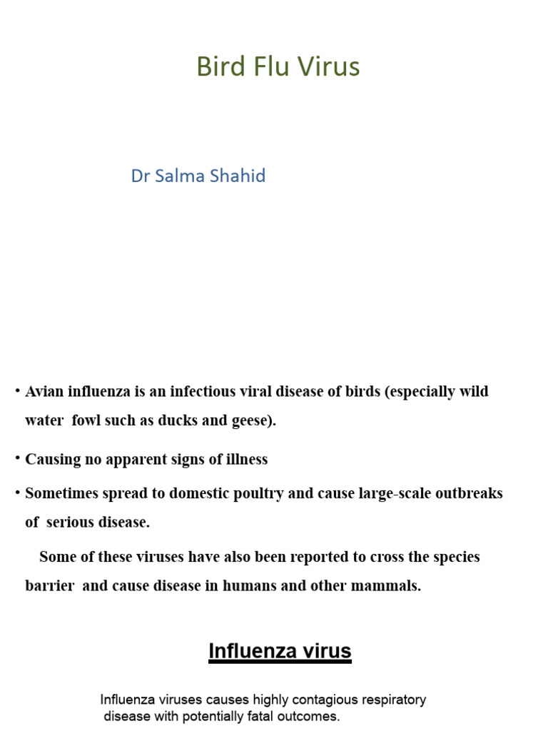 7. Bird Flue | PDF | Influenza | Influenza A Virus Subtype H5 N1