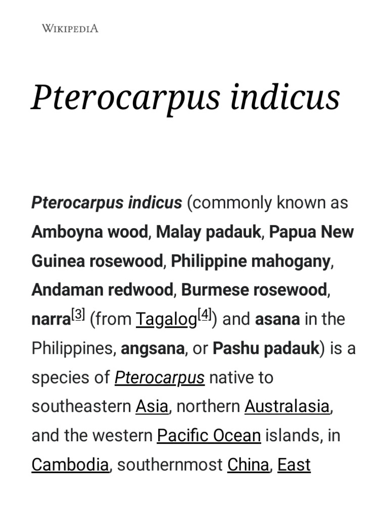 Pterocarpus Indicus - Wikipedia | PDF | Plants | Botany