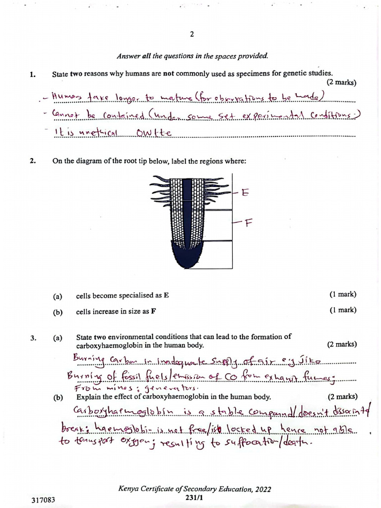 Biology Ms Paper 1 | PDF