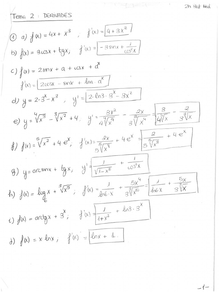 Sol 2 Derivades 2n Batx | PDF
