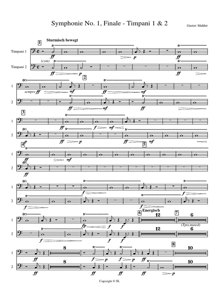 Symphonie No. 1, Finale - Timpani 1 & 2: Sturmisch Bewegt | PDF