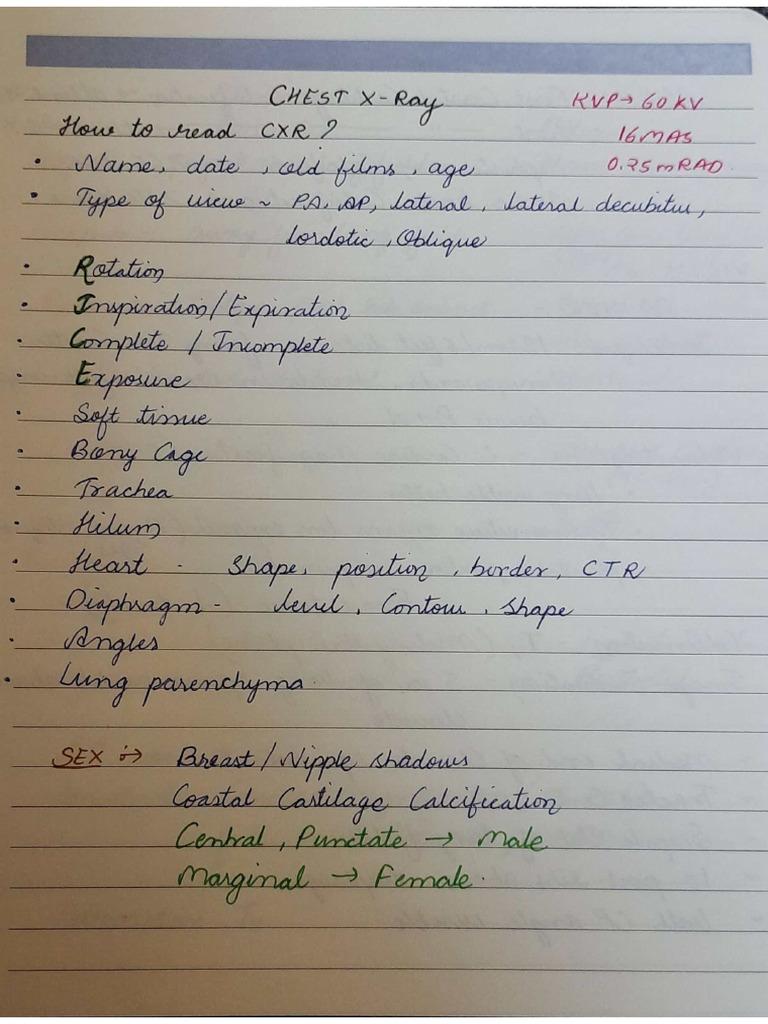 Chest Xray Basics | PDF