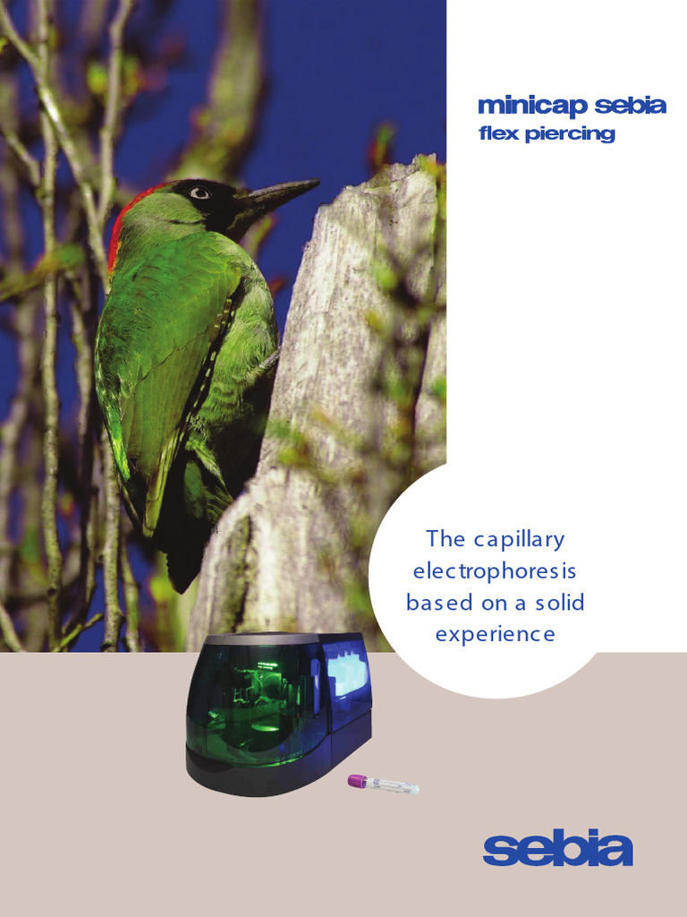 Minicap Flex-Piercing Overview | PDF | Hematology | Blood