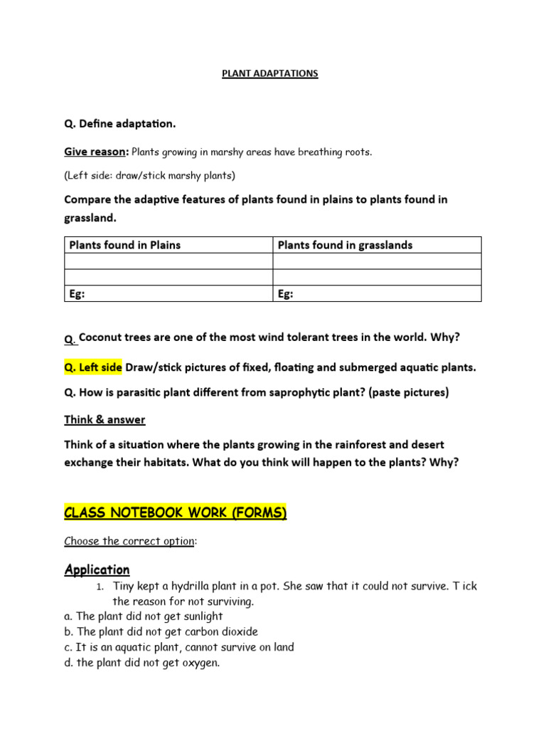 QUESTION BANK - Plant Adaptations | PDF