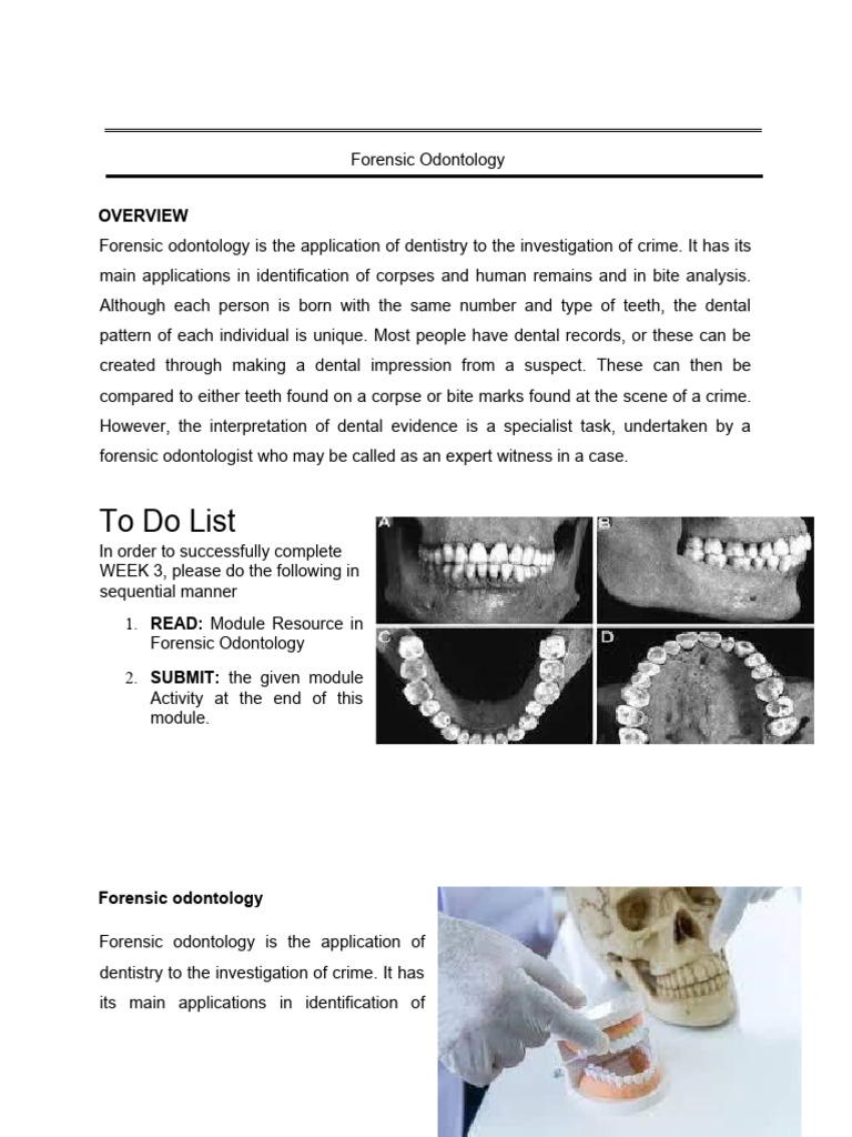 Forensic Odontology | PDF | Graphology | Forensic Science