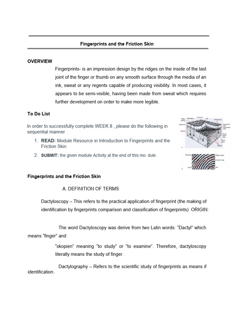 Understanding Friction Skin and Fingerprints | PDF