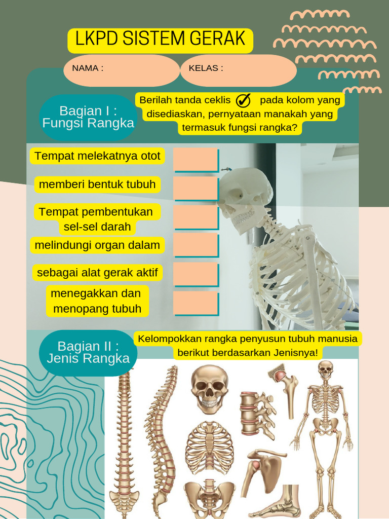 LKPD Sistem Gerak | PDF