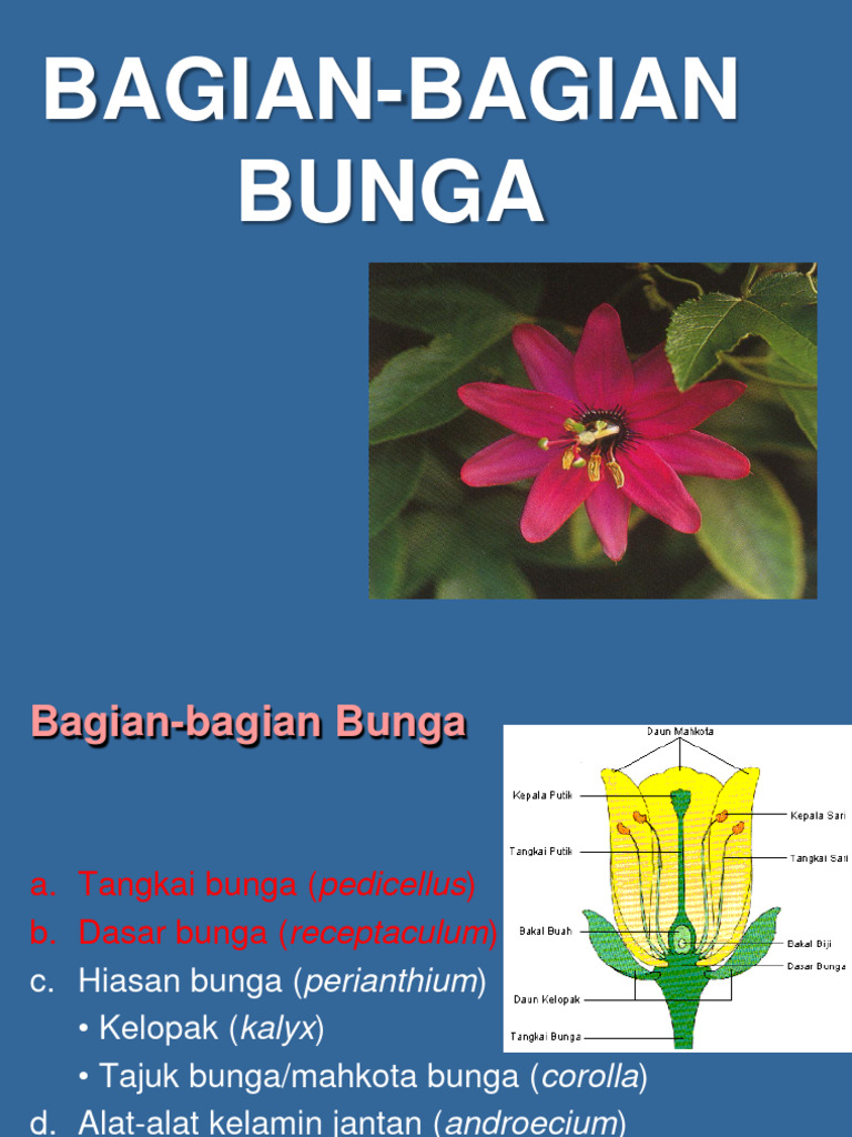 Bagian-Bagian Bunga dan Fungsinya | PDF