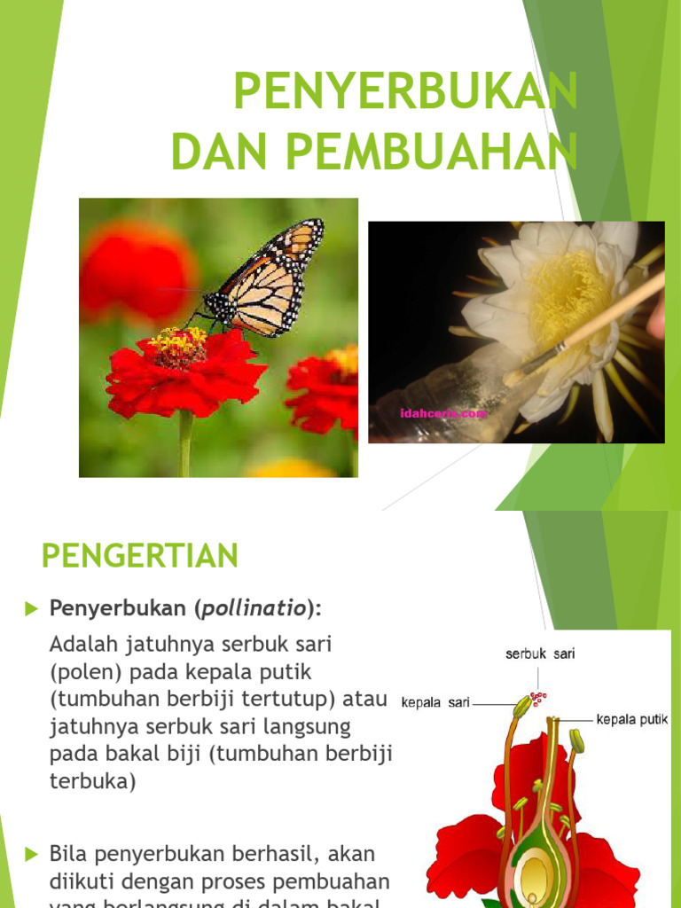 Proses Penyerbukan dan Pembuahan Tumbuhan | PDF | Griya & Taman | Sains ...