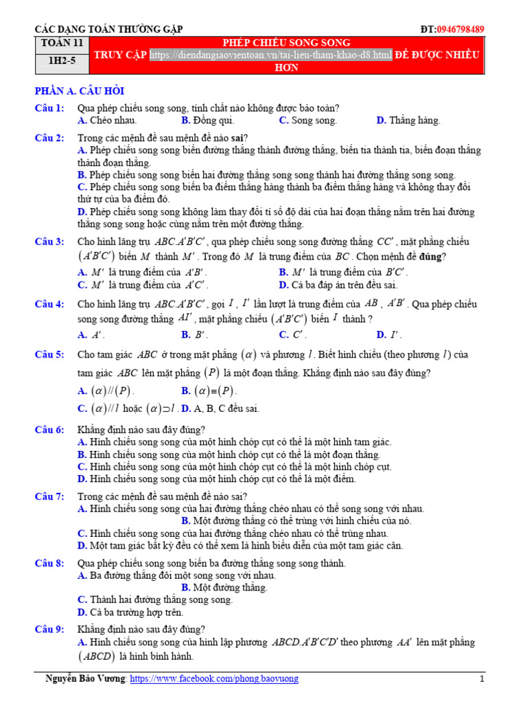 (NBV) -1H2-5 PHÉP CHIẾU SONG SONG | PDF