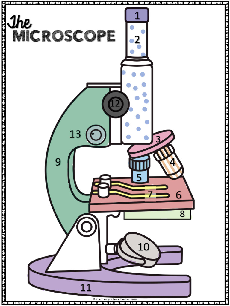 Microscope Color Diagram Worksheet | PDF